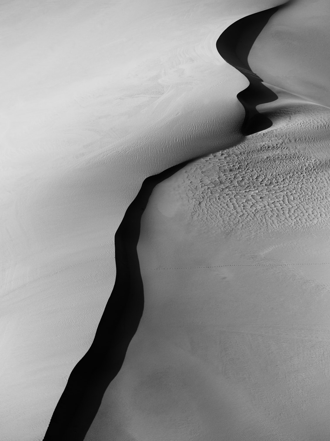 Overview → George Harvey