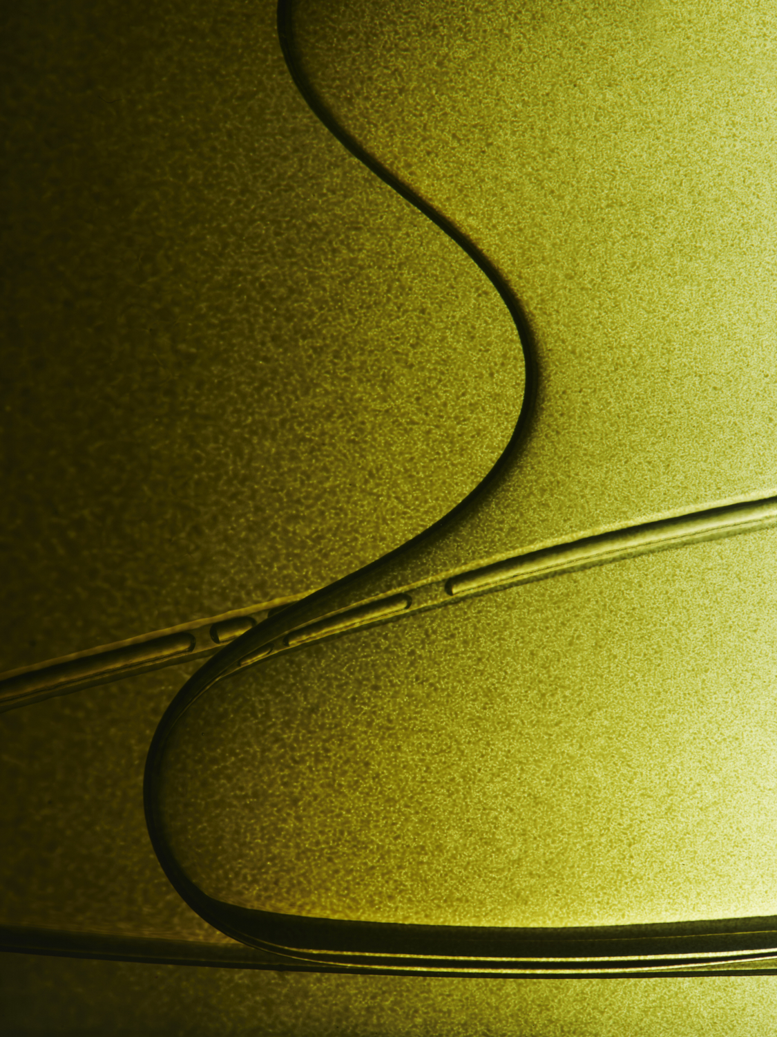 Overview → George Harvey