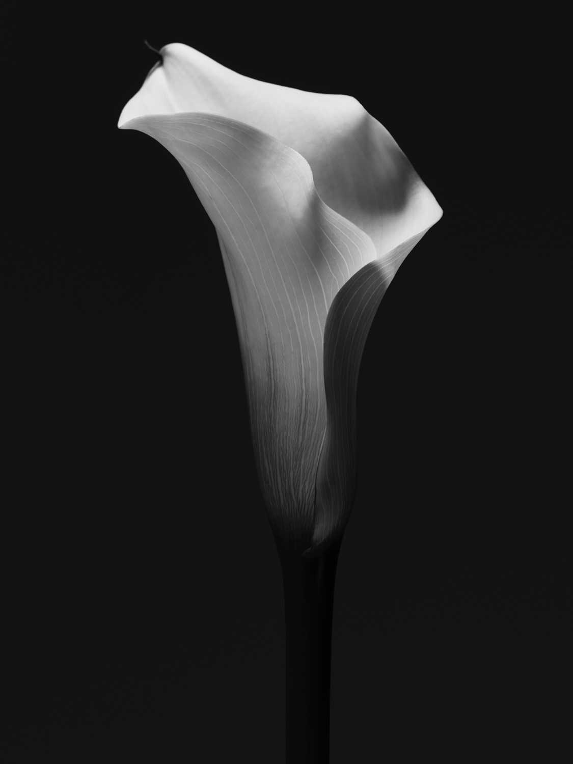 Overview → George Harvey