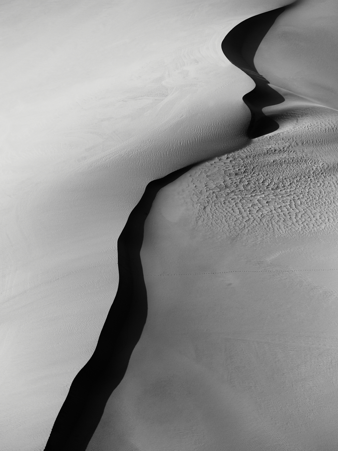 Overview → George Harvey